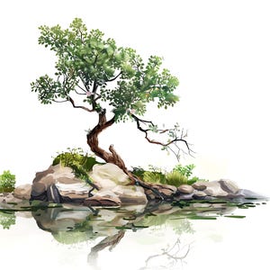 128+ Tree Lake by Nature Procreate Brush Set | Stamps for Procreate ...