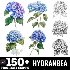 150+ Hydrangea Procreate Brush Set | Stamps for Procreate | Instant Digital Download - Etsy