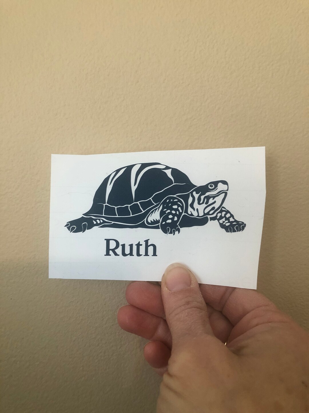 Box Turtle Name Vinyl Decal - Etsy