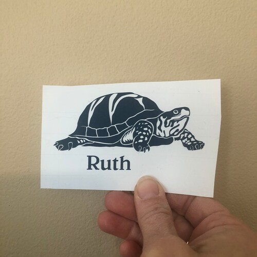 Male Box Turtle Clear Vinyl Sticker - Etsy