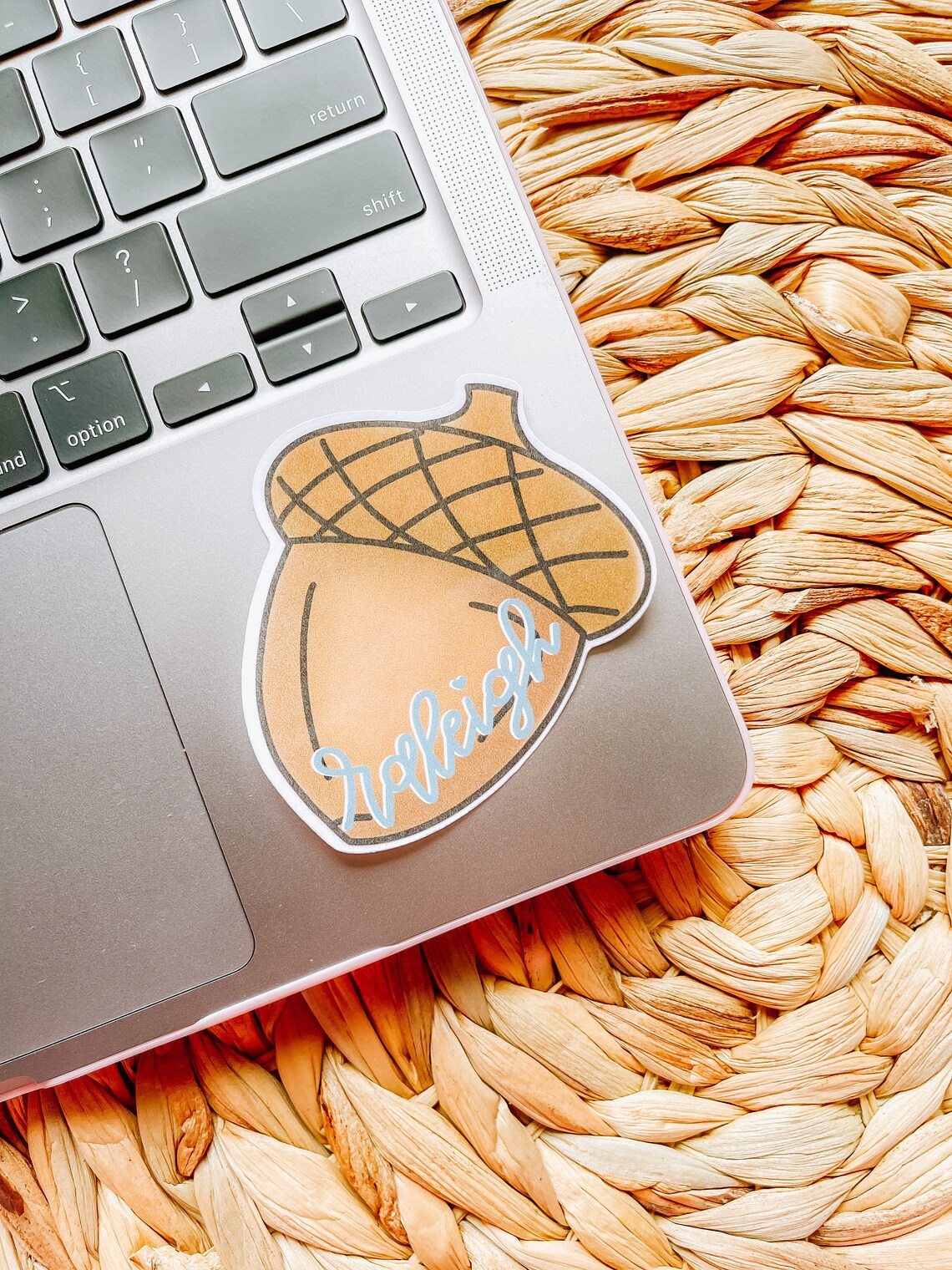 Raleigh Acorn Sticker Cute Sticker Laptop Sticker | Etsy