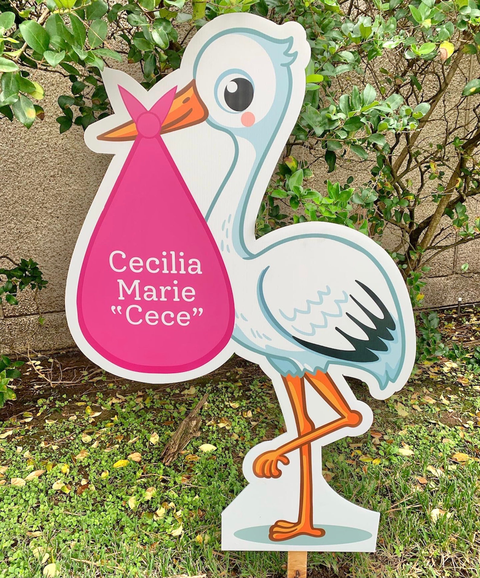 46 Custom Baby Stork Yard Sign | Etsy