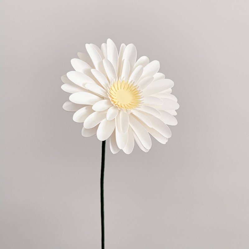 Paper Daisy - Etsy