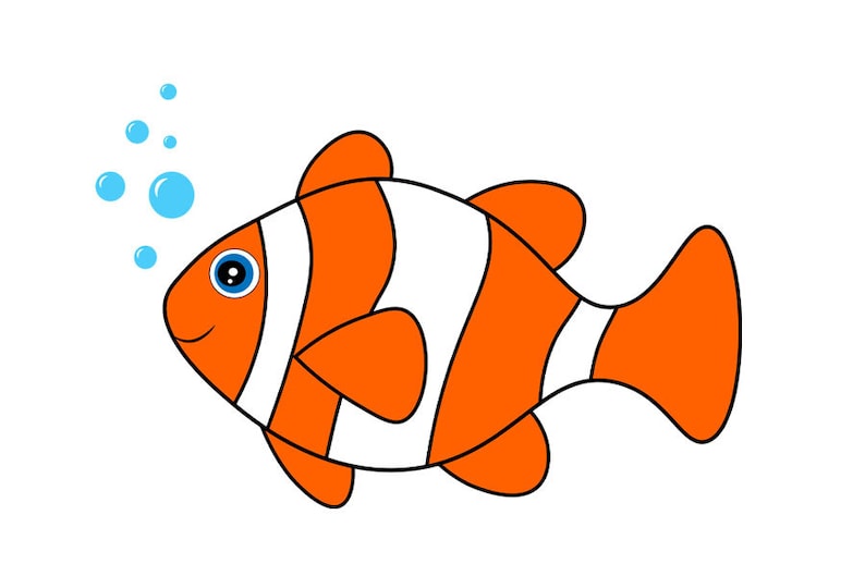 Poisson svg poisson clown svg poisson mignon svg poisson - Etsy Canada