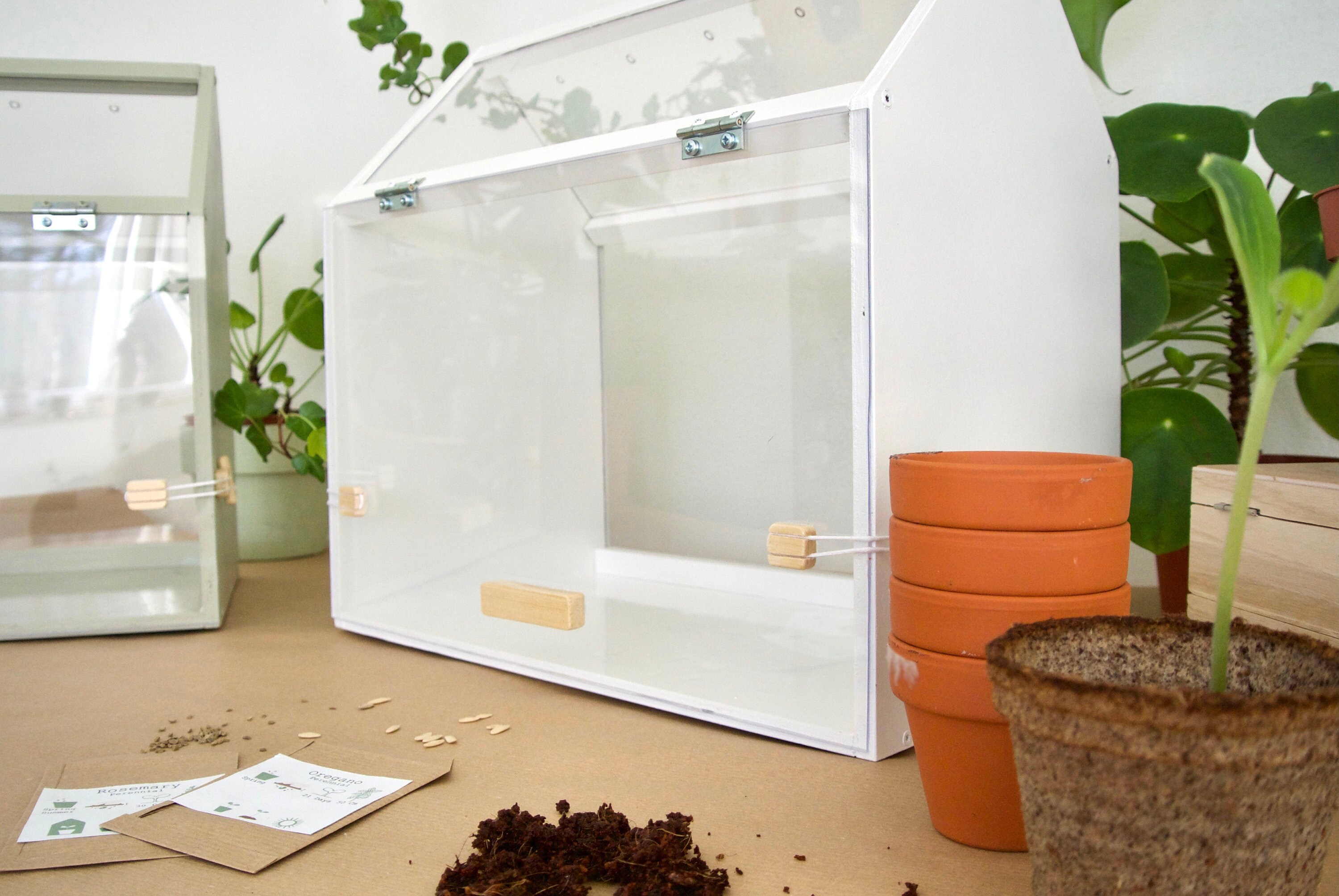 Diy Mini Indoor Greenhouse