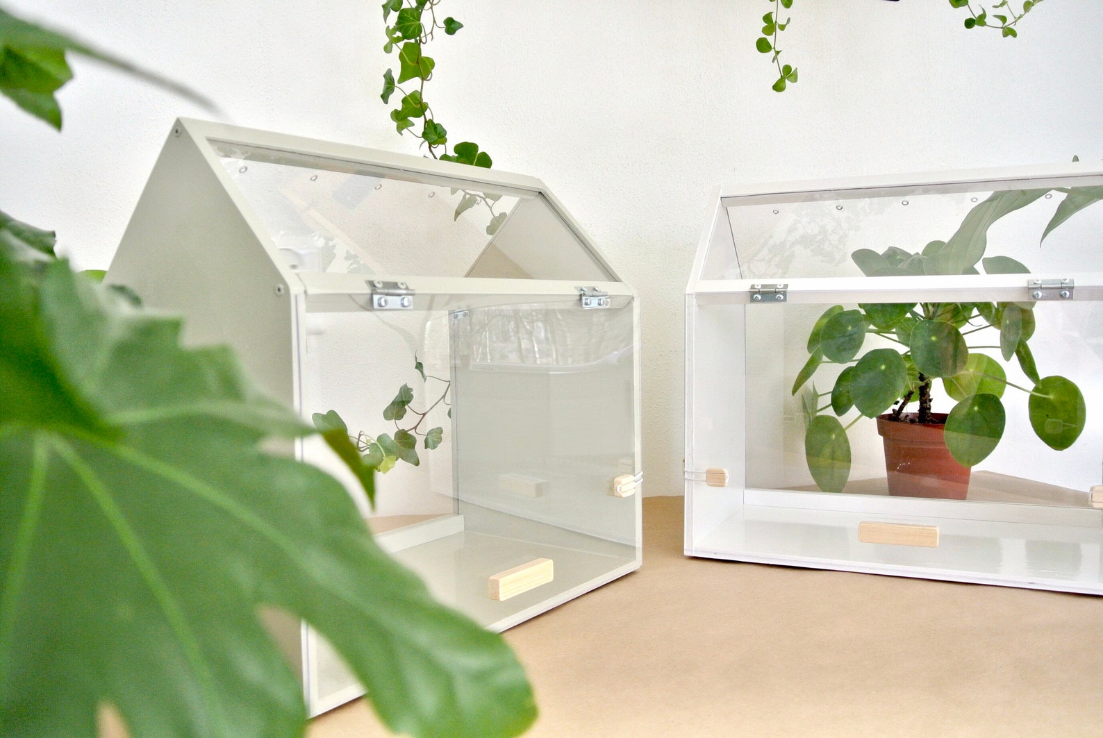 Mini Greenhouse | Windowsill Greenhouse | Indoor Greenhouse | Plants ...