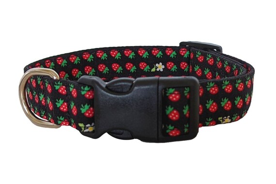 Strawberry Dog Collar Black Background With Strawberries Dog - Etsy