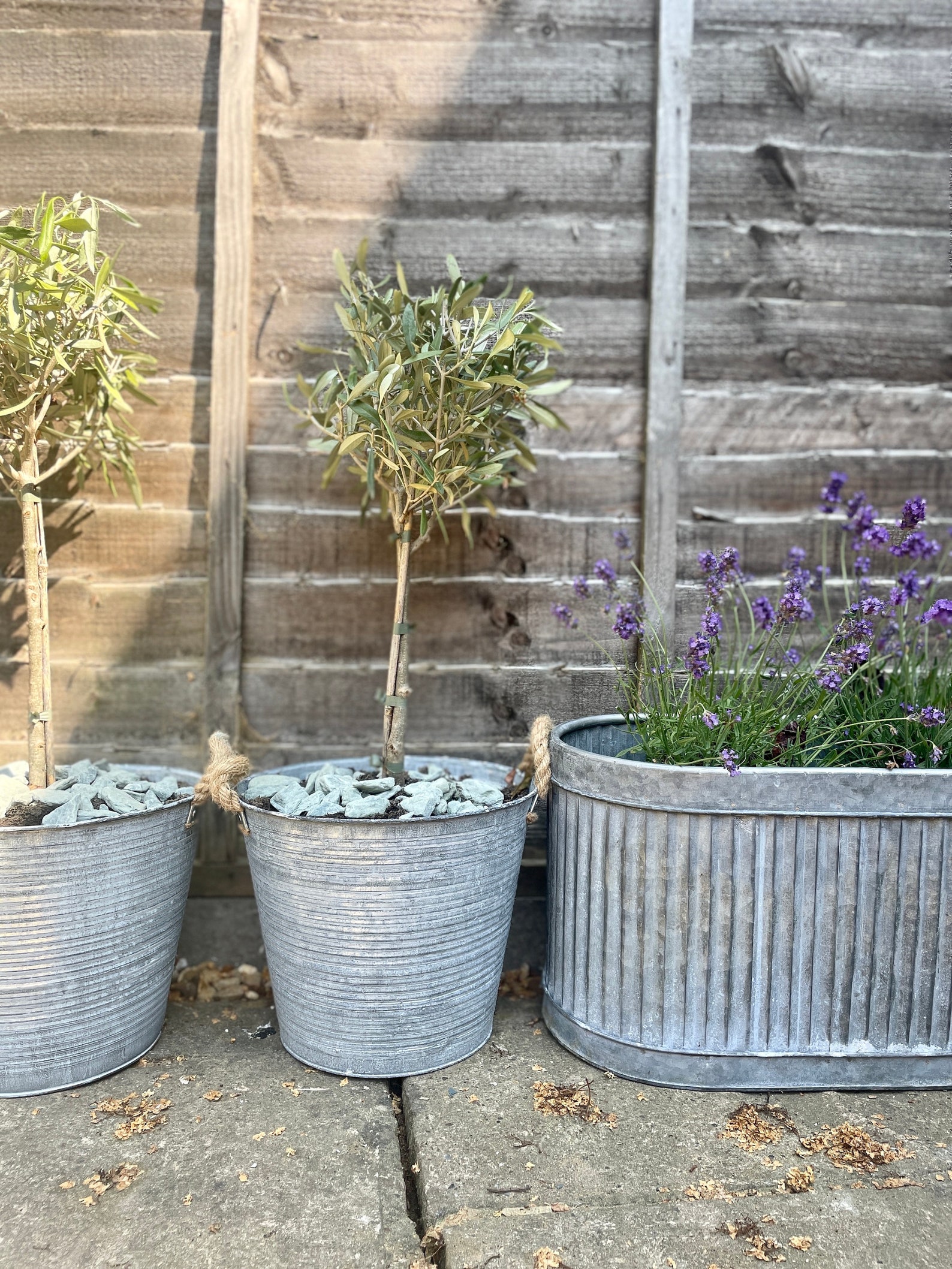 Large Rustic Ribbed Zinc Storage Bucket / Pot or Planter With - Etsy
