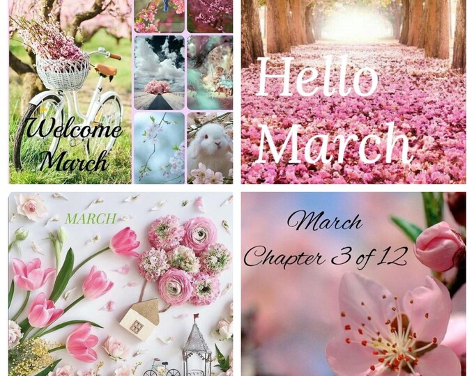 PRE ORDER March Mystery Sock Set - Etsy