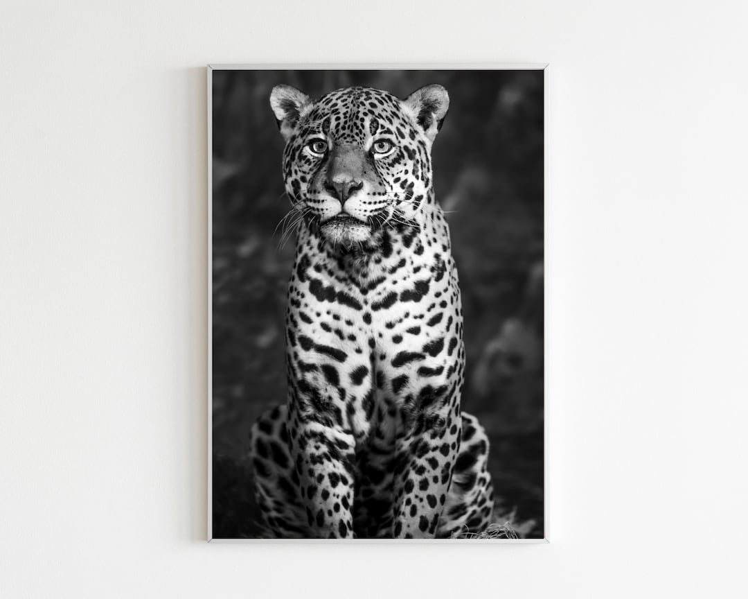 Jaguar Poster, Black and White Wall Art, Vintage Animal Print, Safari ...
