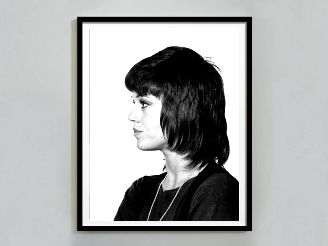 Celebrity Mugshot, Large Print Wall Decor, Canvas Print Mugshot Poster ...