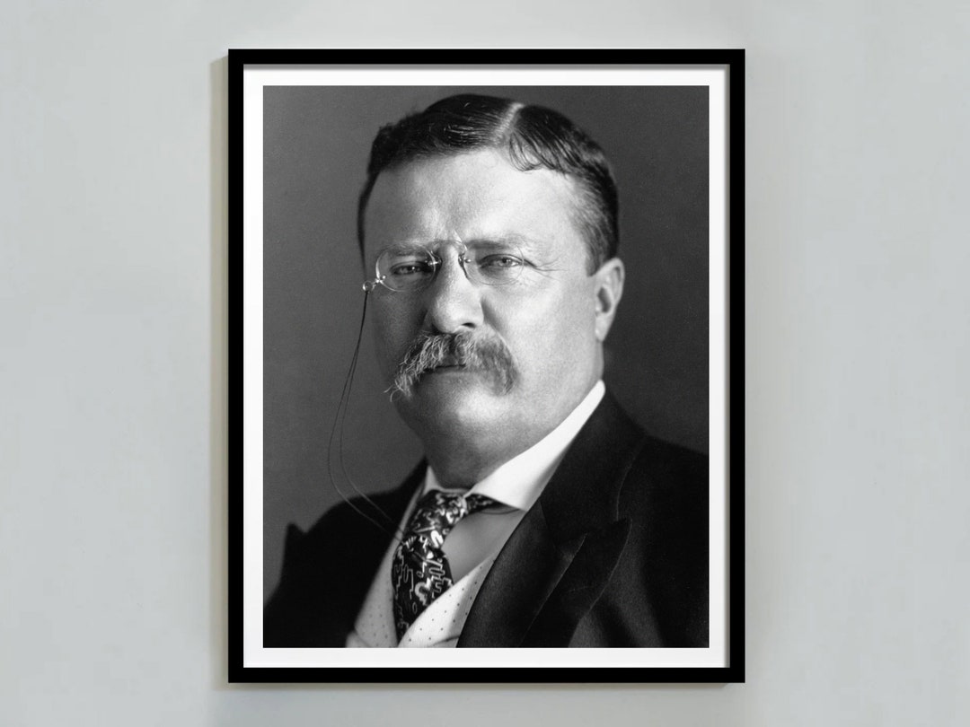 President Theodore Roosevelt Poster, Vintage Wall Art Print, Political ...