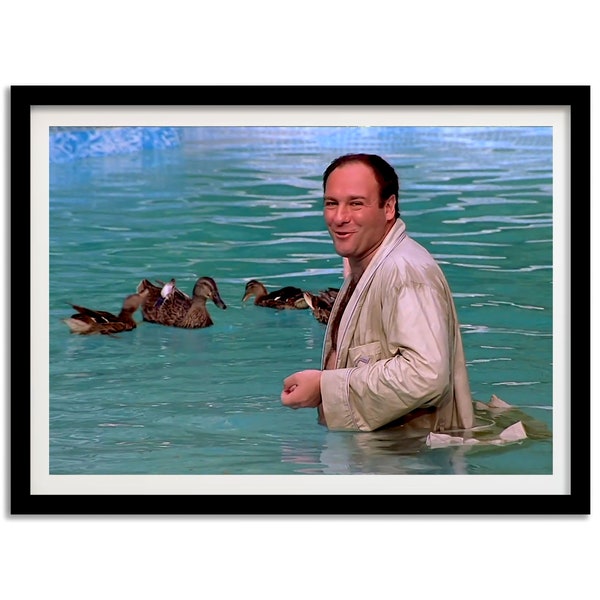 Tony Soprano Pool - Etsy UK