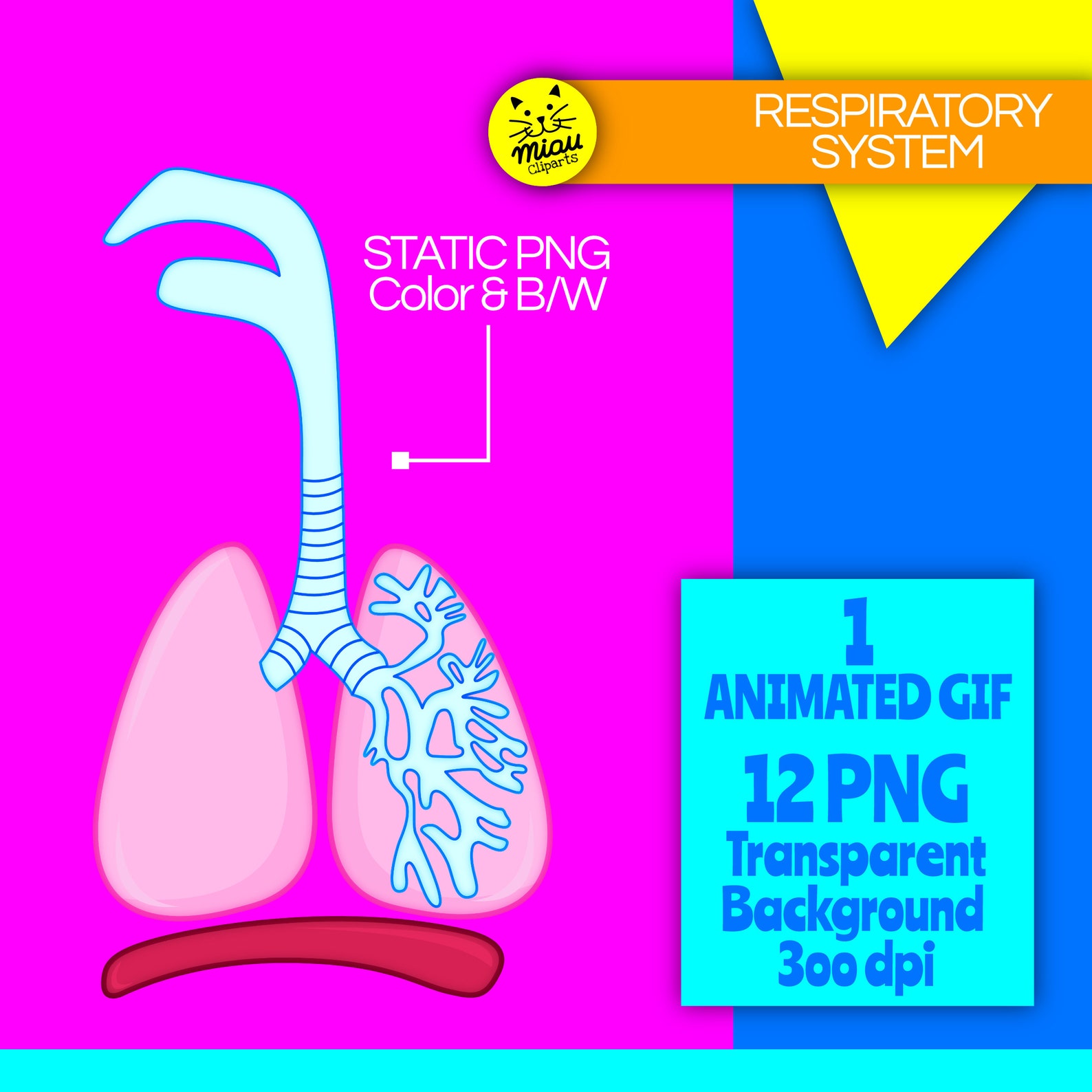 Respiratory System Clip Art Animated Gif and Printable Png - Etsy