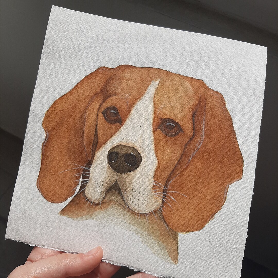 Hand Painted Watercolor Beagle Painting, Original Pet Painting - Etsy