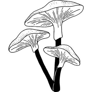 Magical Mushroom Coloring Pages - Printable Fungi Coloring Pages - Etsy