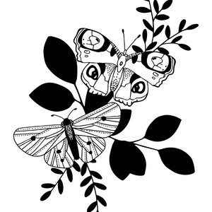 Botanical Coloring Pages: Bugs, Flowers, Plants - Printable Nature Art ...