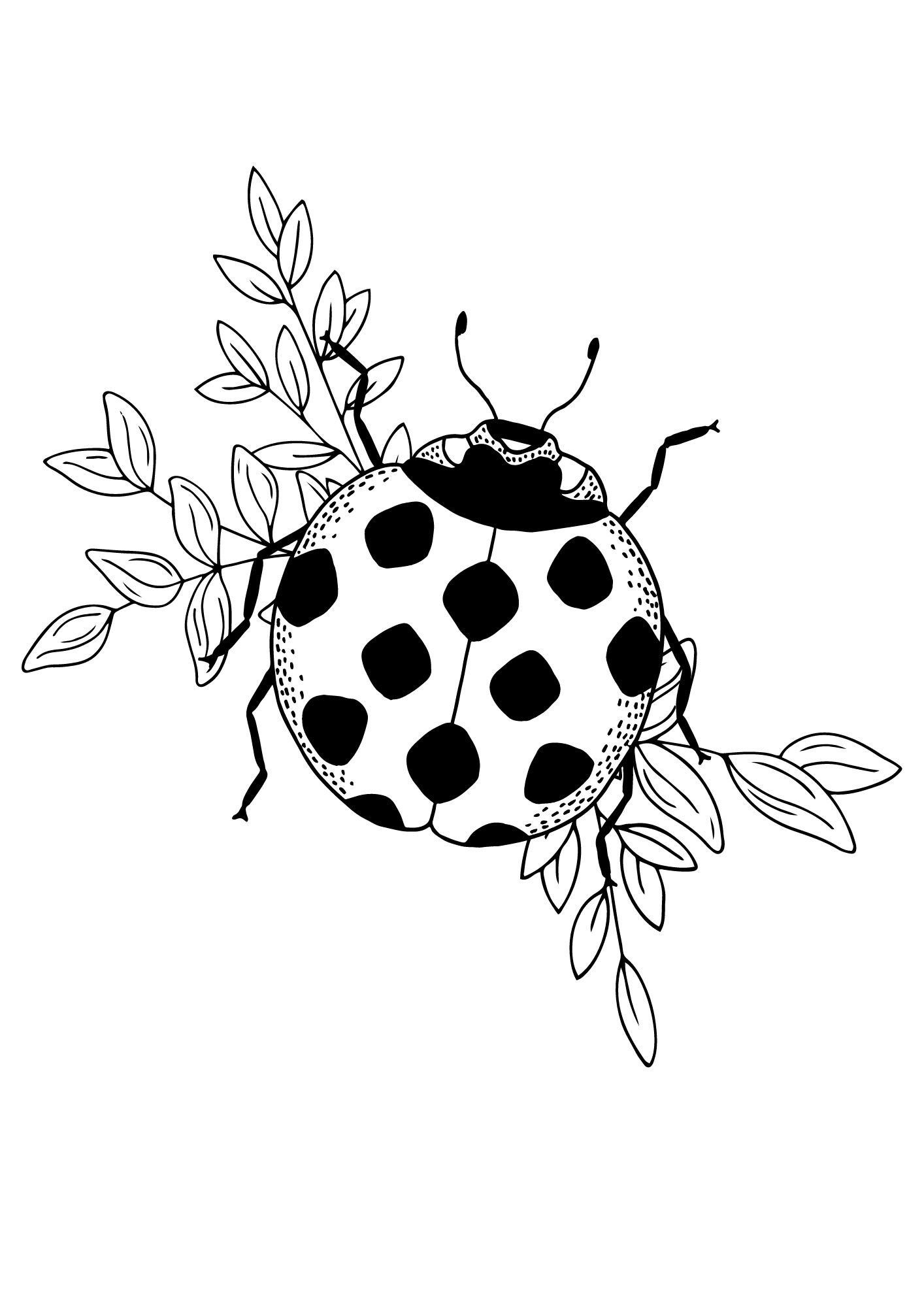 Botanical Coloring Pages: Bugs, Flowers, Plants Printable Nature Art ...