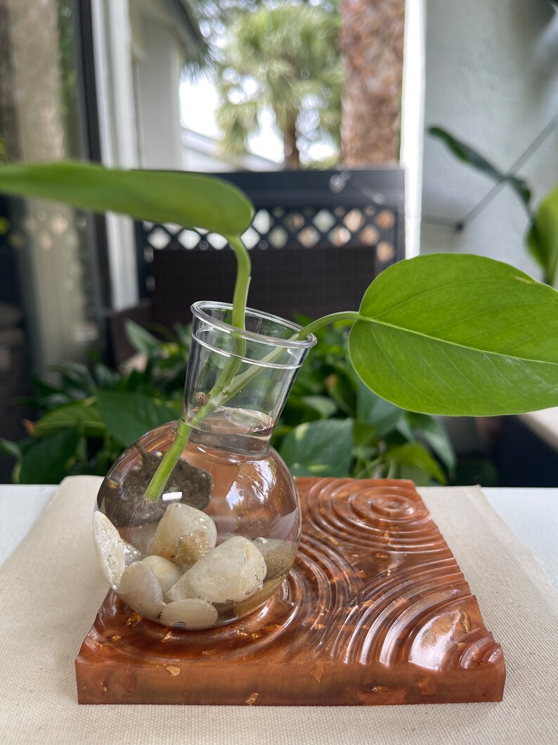 Copper Propagation Station includes Pothos Plant Cutting and Rock Base ...