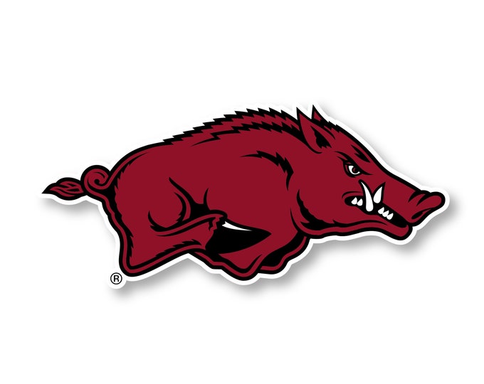 Arkansas Razorbacks 12 Premium Vinyl Decal Licensed NCAA - Etsy