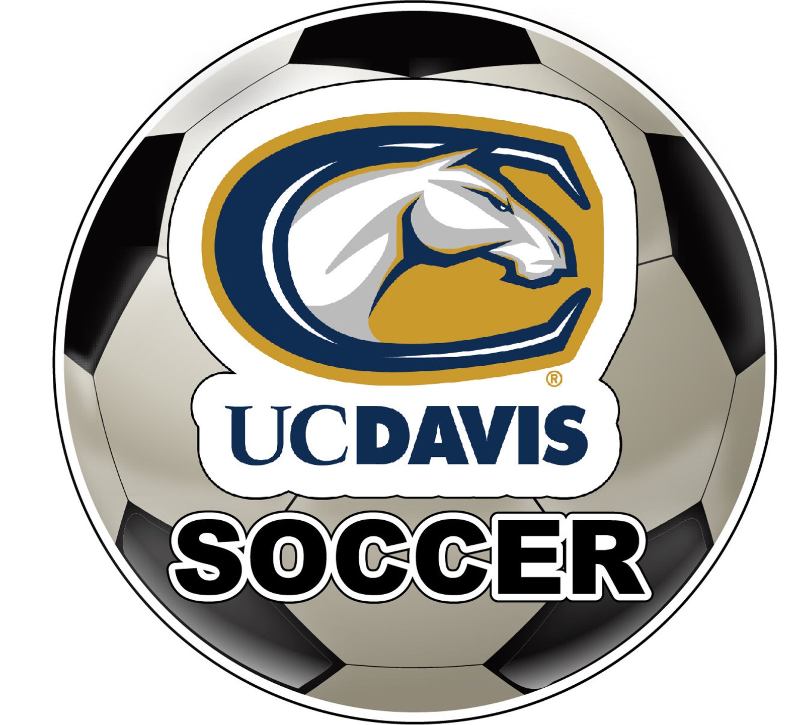 R and R Imports UC Davis Aggies 4-inch Round Vinyl Decal Sticker - Etsy