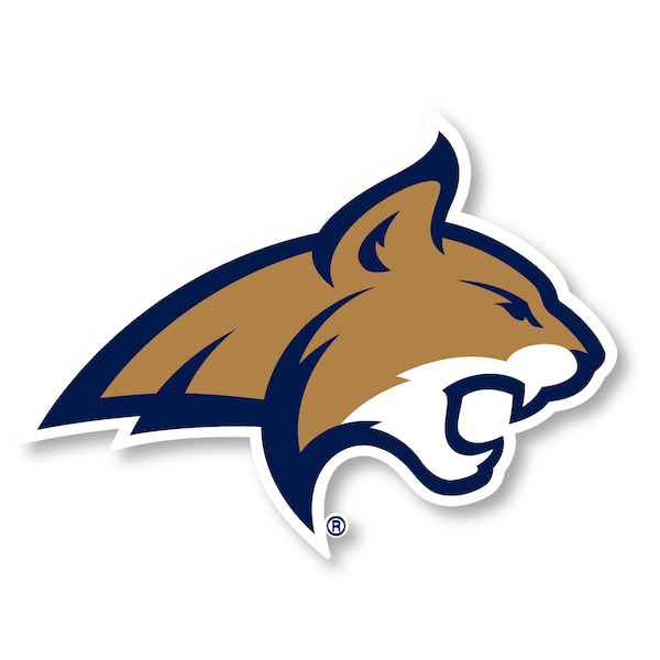 Montana Decal - Etsy