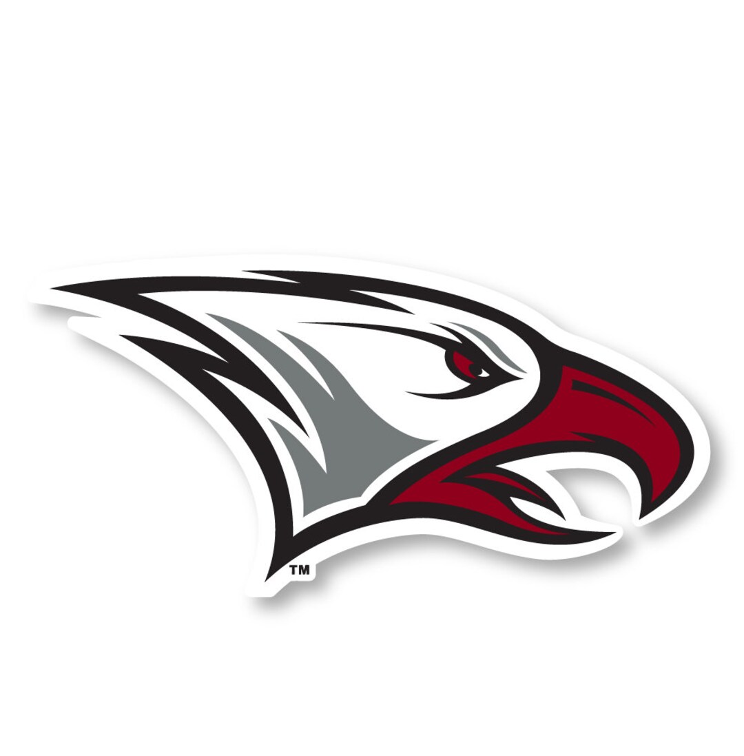 North Carolina Central University Eagles NCAA Collegiate 4 Inch Vinyl ...