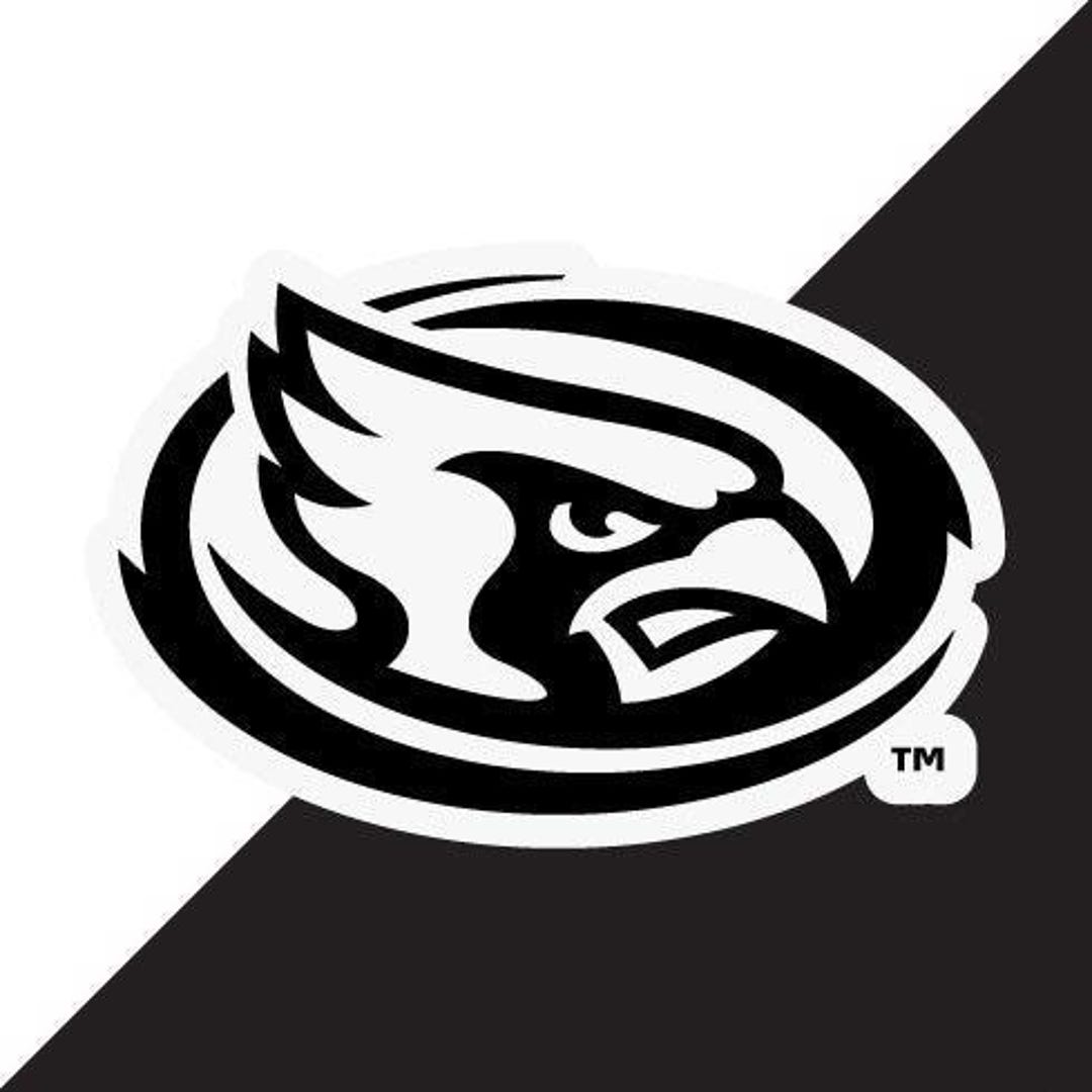 Iowa State Cyclones Officially Licensed Vinyl Sticker With Choice of ...