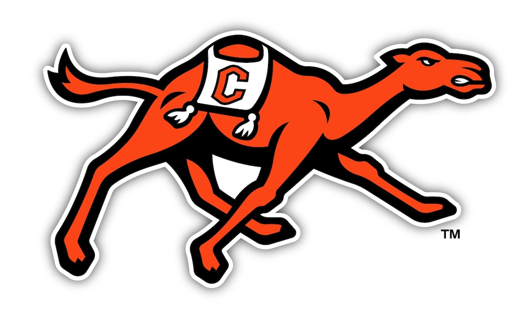 Campbell University Fighting Camels Vinyl Mascot Decal Sticker ...