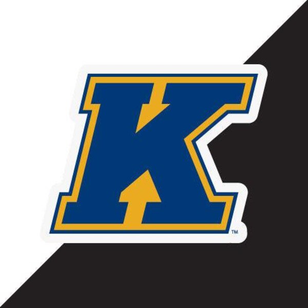 Kent State Fabric - Etsy