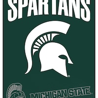 Pink Michigan State Digital Prints - Stripes and Pennant - SET OF 3 - Etsy