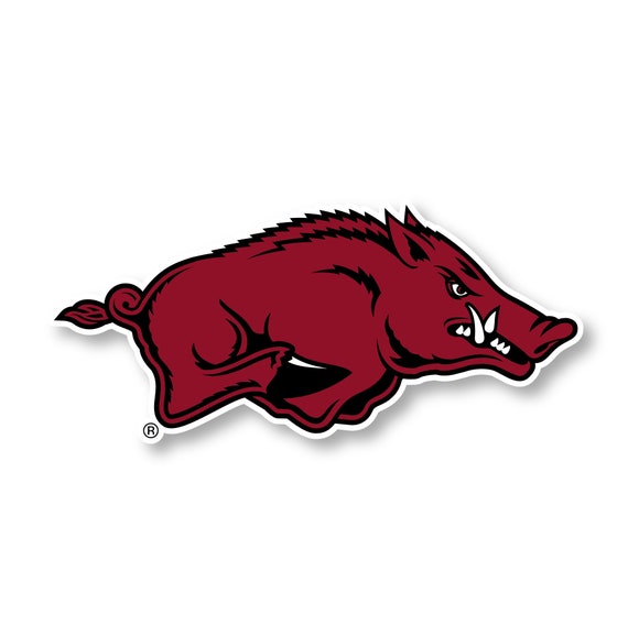 Arkansas Razorbacks Vinyl Mascot Decal Sticker - Etsy