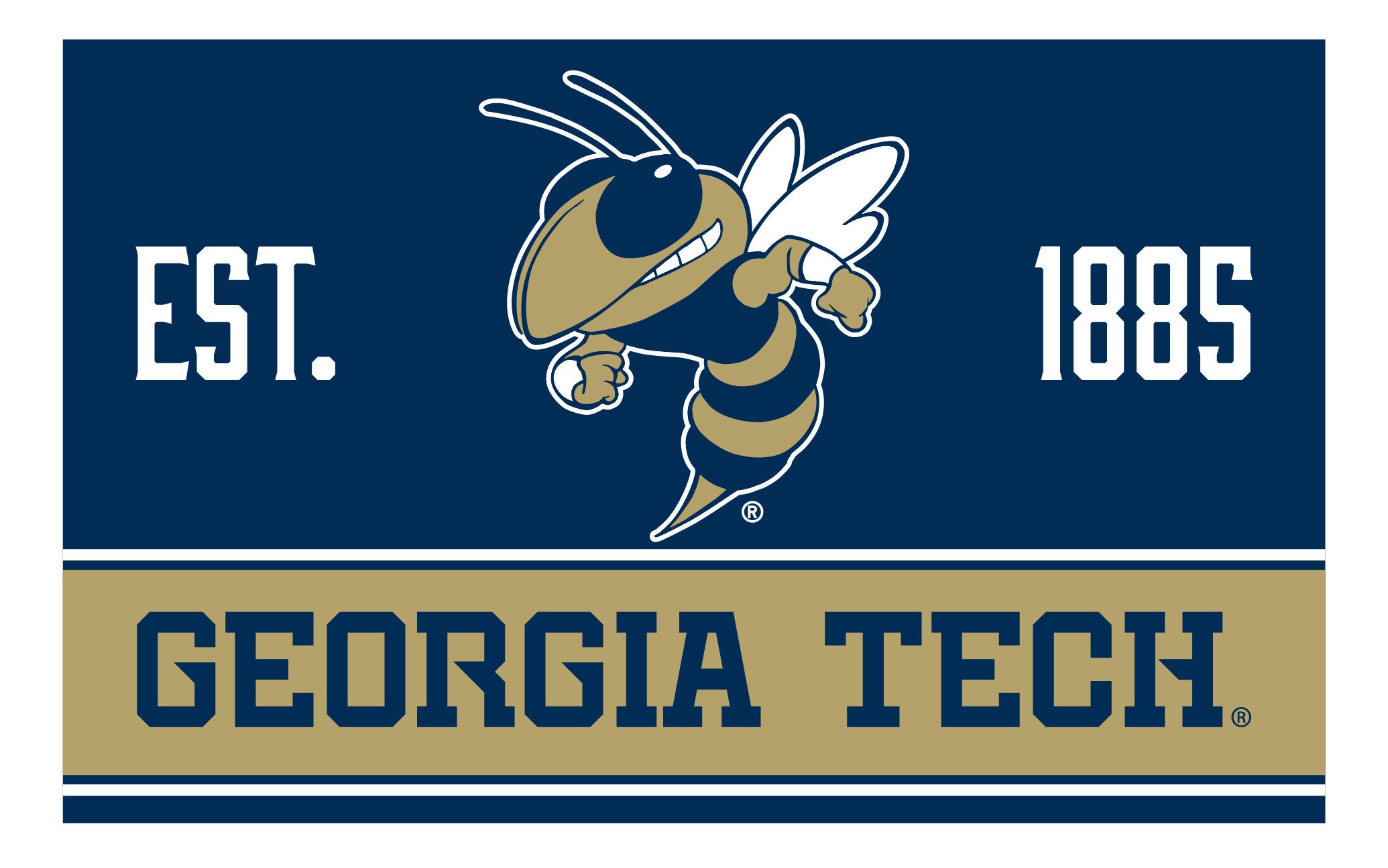 Georgia Tech Yellow Jackets Cartoons