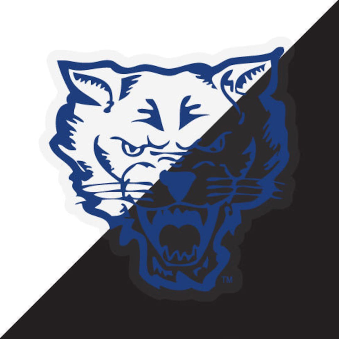 Fort Valley State University Officially Licensed Vinyl Sticker With ...