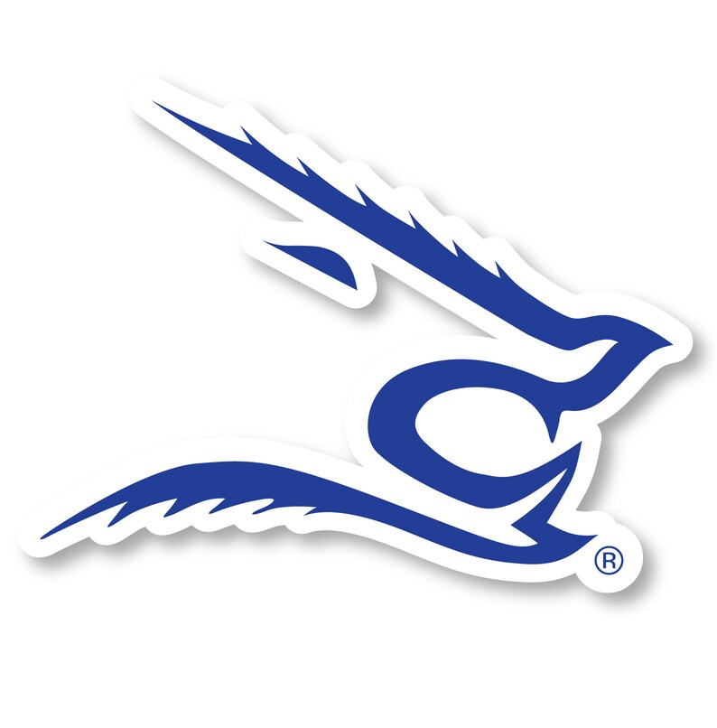 Texas A&M University Kingsville Javelinas NCAA Collegiate 4 | Etsy