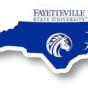 R and R Imports Fayetteville State University 4 Inch State Shape Vinyl ...