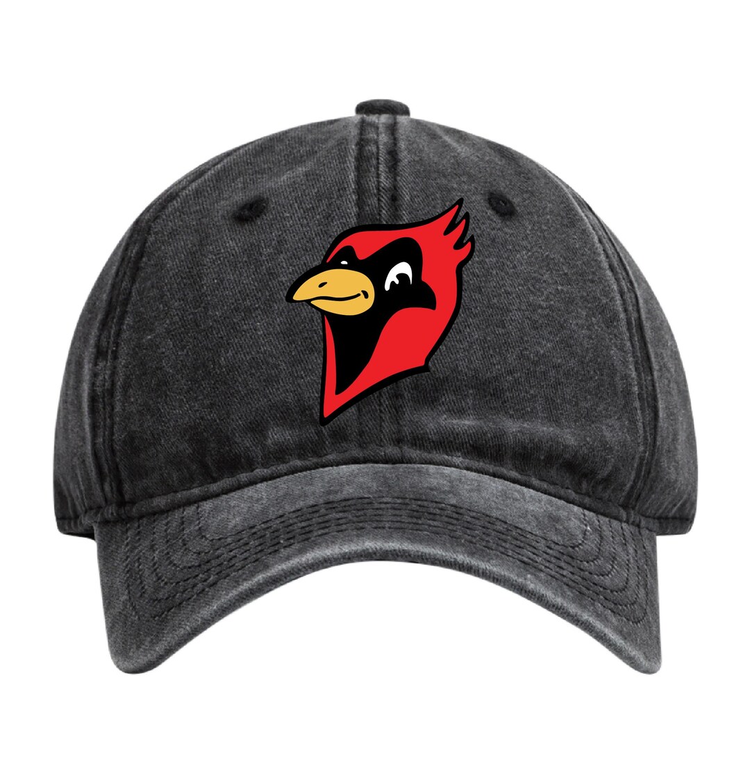 Otterbein University Officially Licensed Dad Hat - Unisex Baseball Cap ...