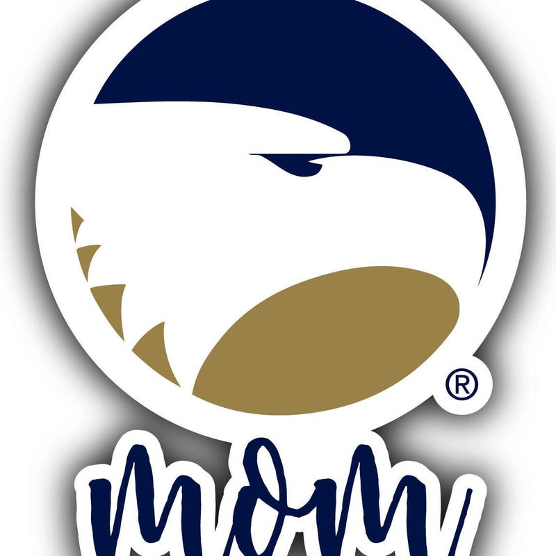 Georgia Southern Party - Etsy