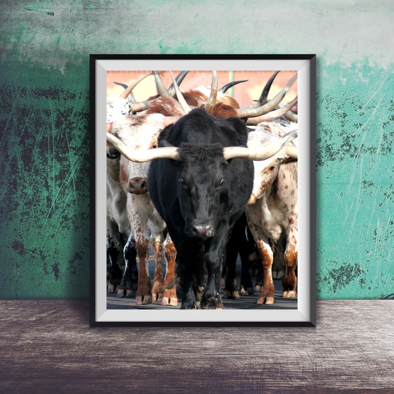 Texas Longhorn Portrait Fine Art, Print, Home Decor, Wall Art ...