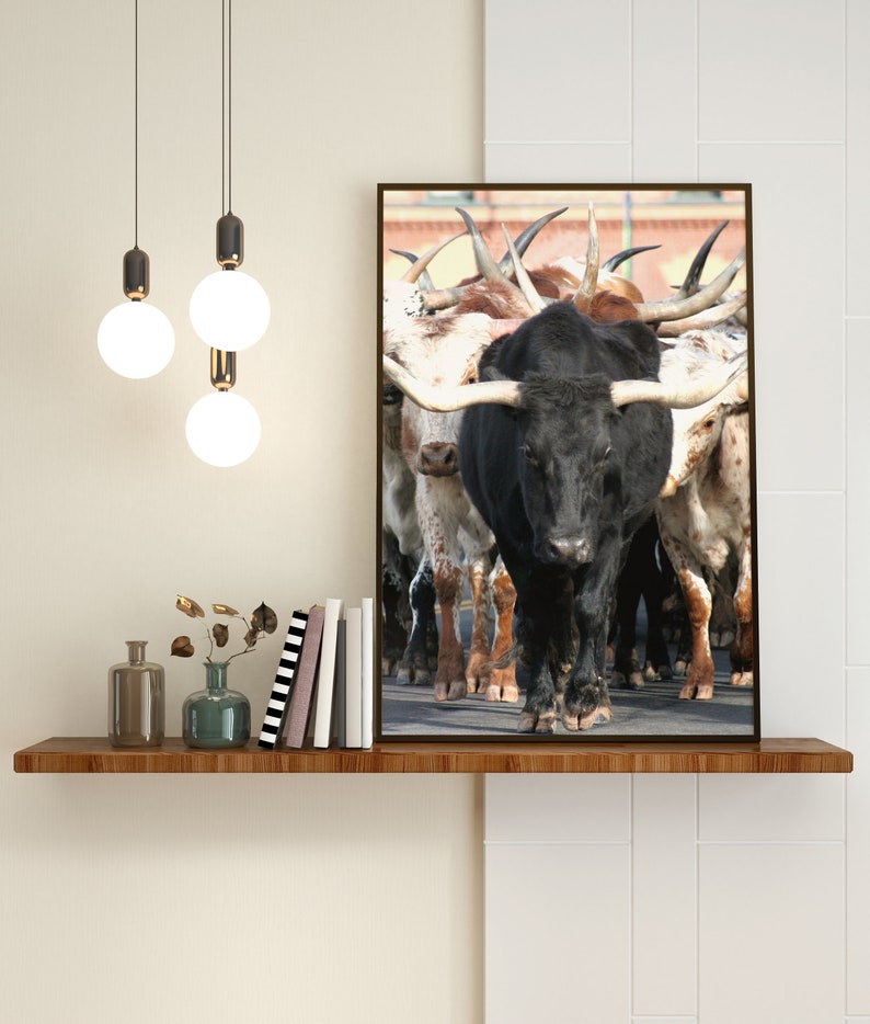 Texas Longhorn Portrait Fine Art, Print, Home Decor, Wall Art ...