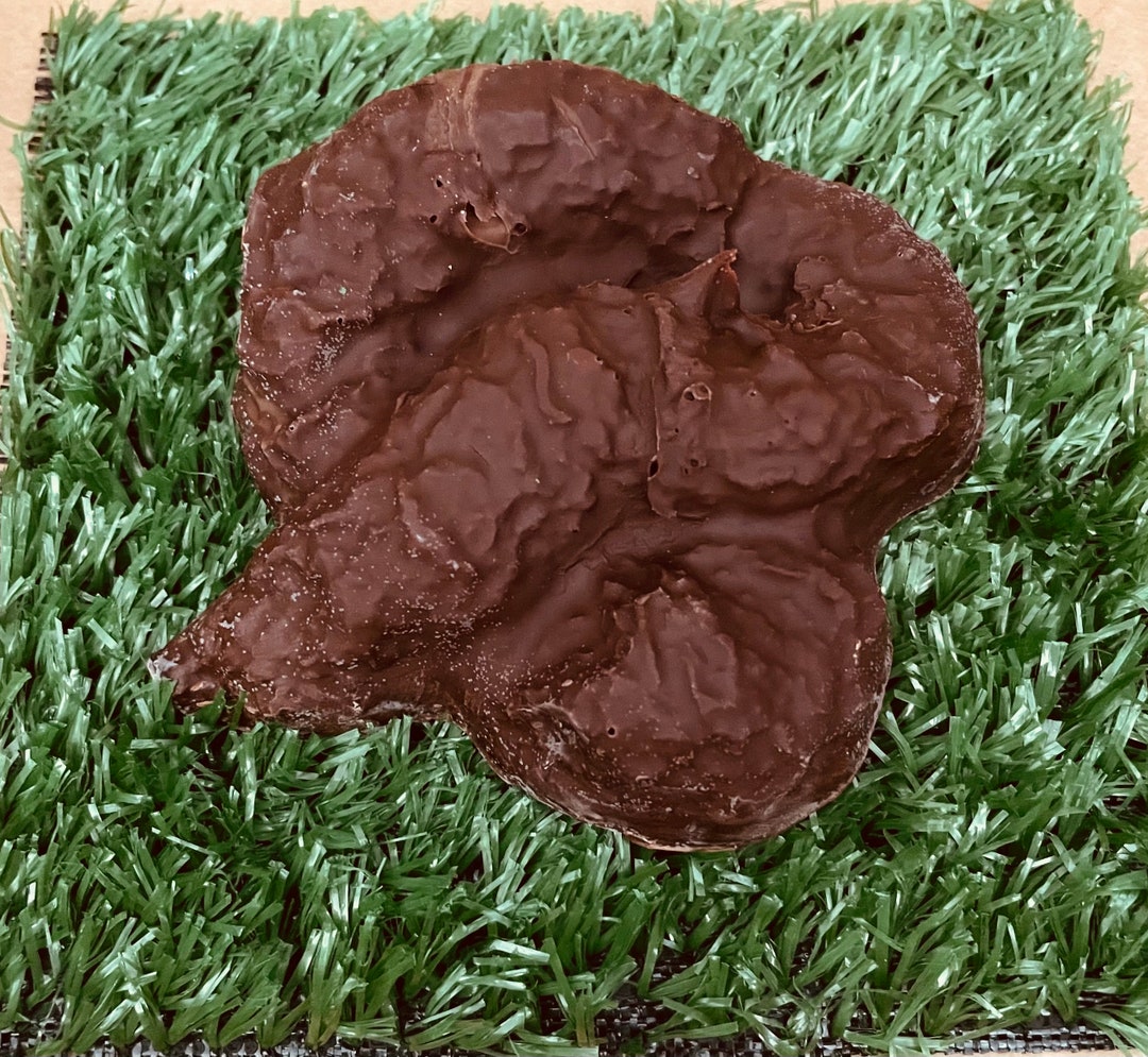 Chocolate Poo - Etsy