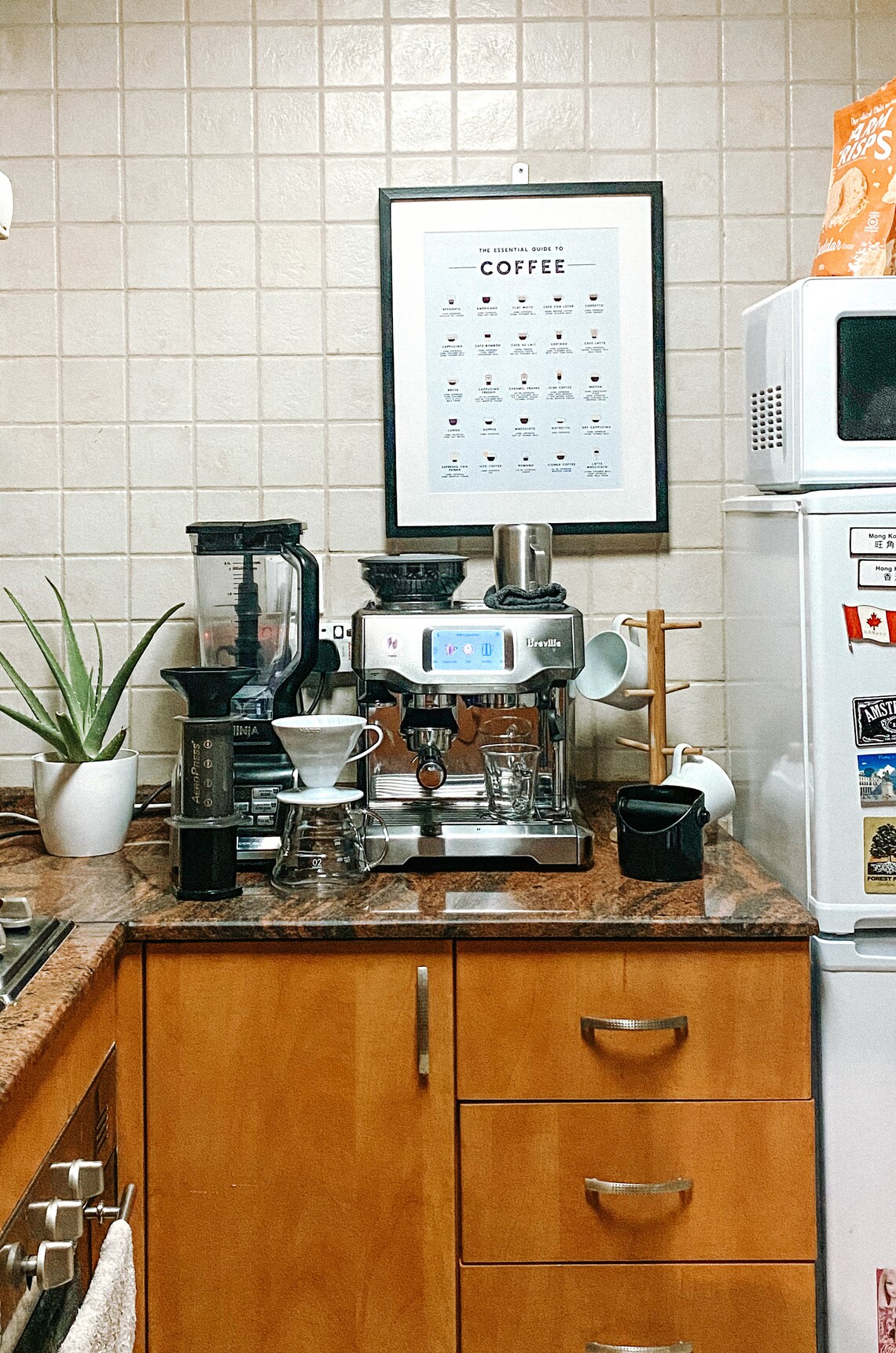 The Essential Guide to Coffee Poster Coffee Guide Poster | Etsy