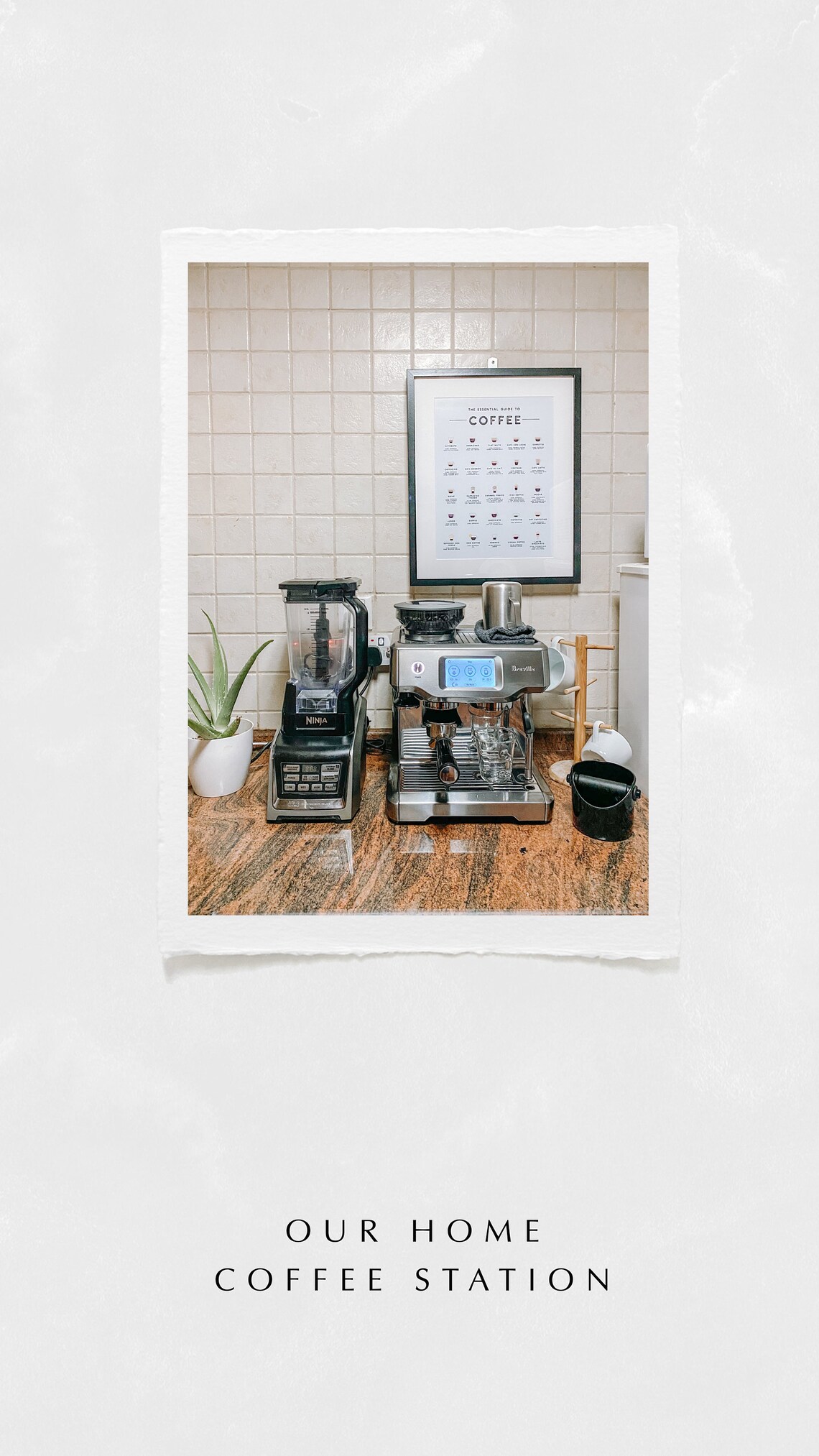 The Essential Guide to Coffee Poster Coffee Guide Poster | Etsy