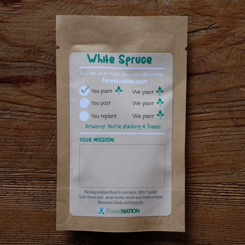 Morio Guardian Tree, cadeau pour les enfants, nous plantons 10 arbres ...