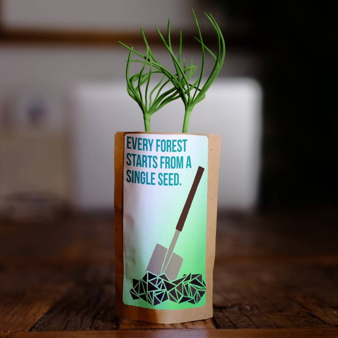 Eco-friendly Earth Day: Growing a Green Future With 10 Trees in Each ...