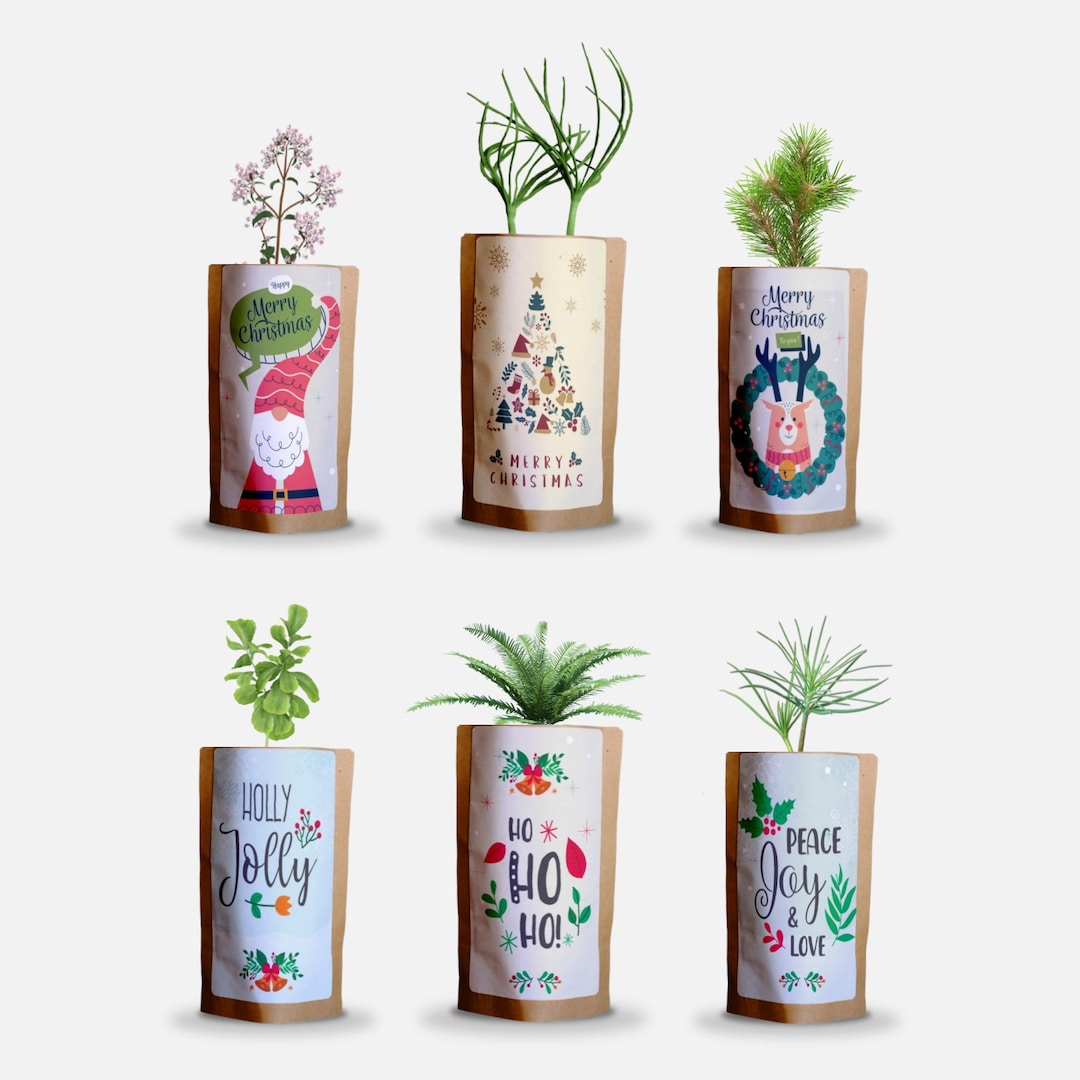 Merry Christmas Tree Gifts Pack, Christmas Stocking Stuffers, Christmas ...