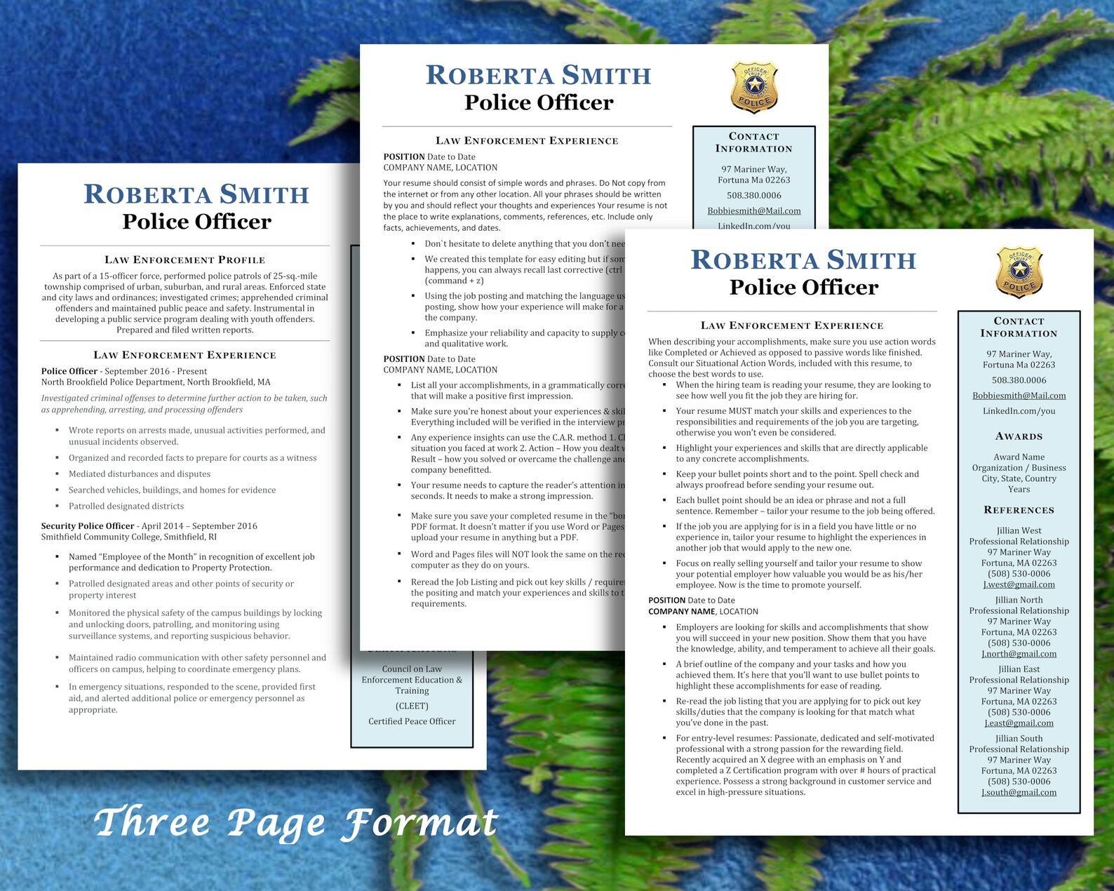 Police Officer/police Cadet/law Enforcement Template W Successful Real ...