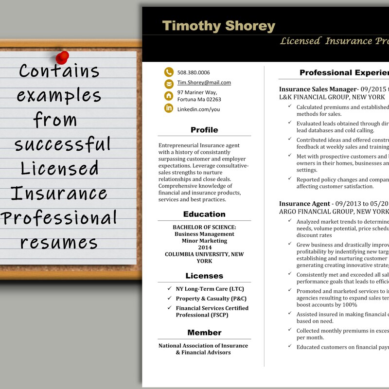 C Level Resume Template - Etsy