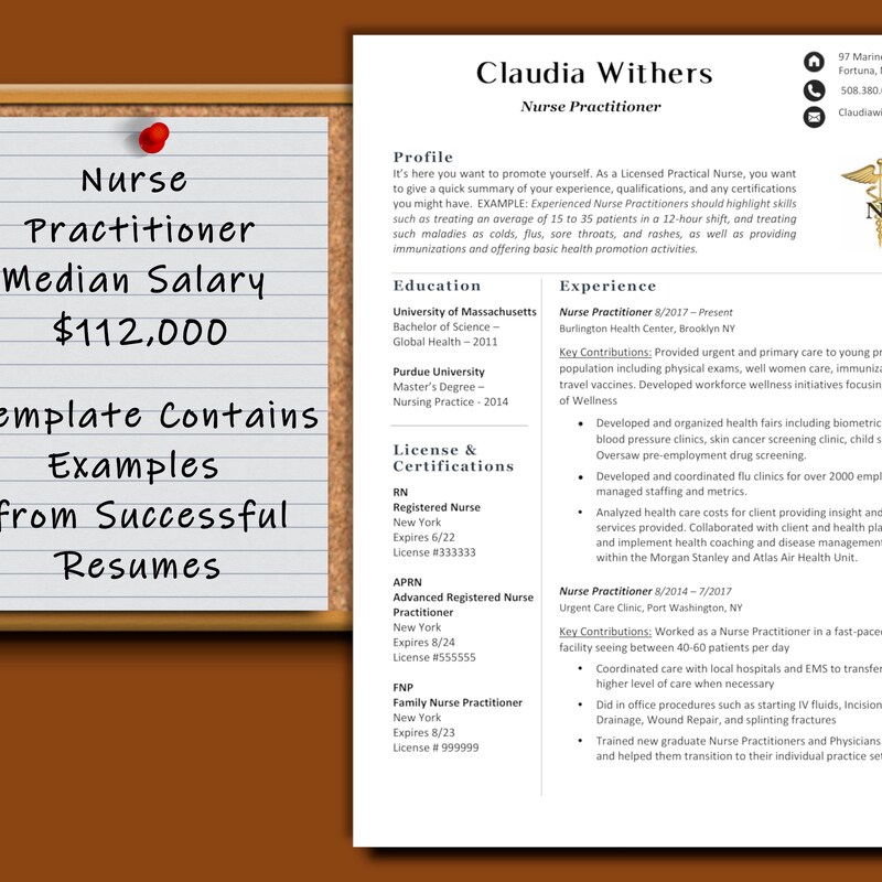 Nurse Practitioner Resume Sample - Etsy