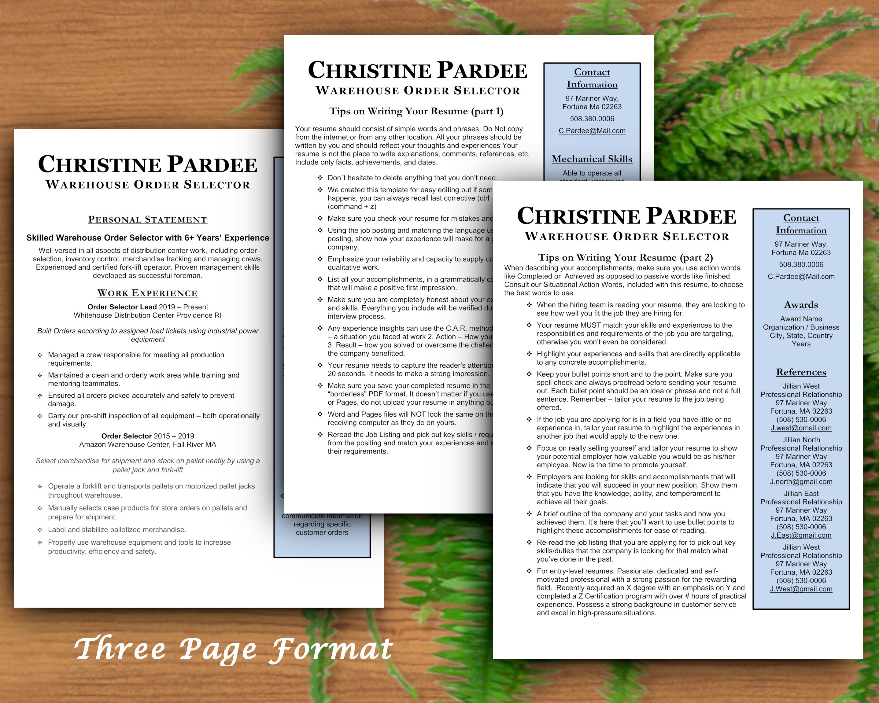 Warehouse Order Selector Resume Template: Examples & Cover Letter ...